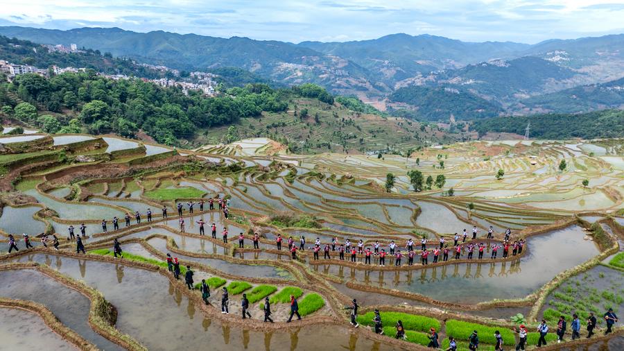 60"FlyOverChina | Wondrous rice terraces in SW China's Yunnan-关注_华商网新闻